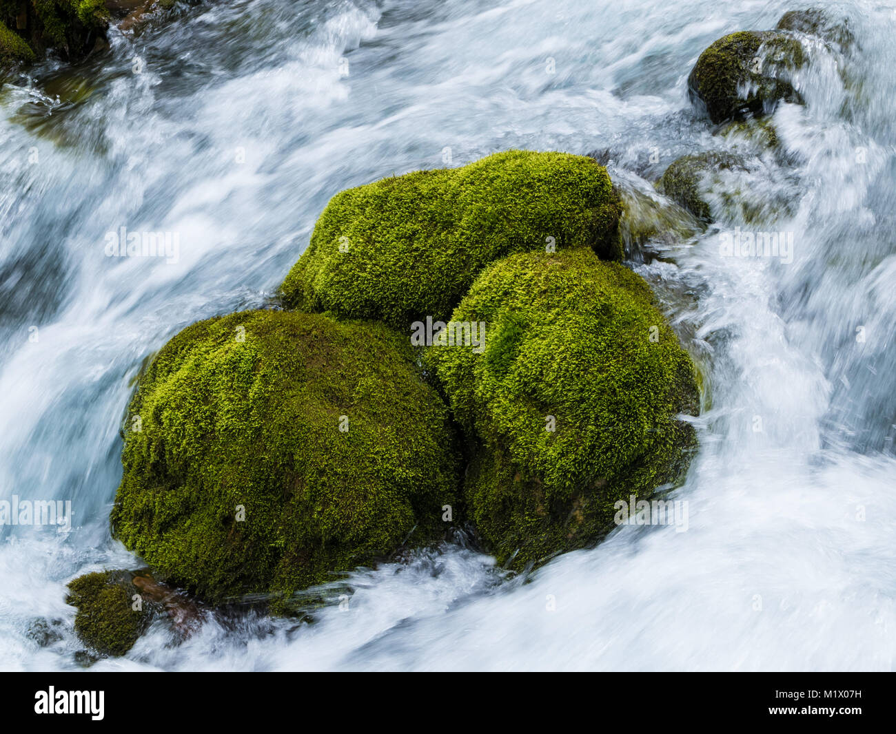 Three moss covered rocks in a mountain stream Stock Photo - Alamy