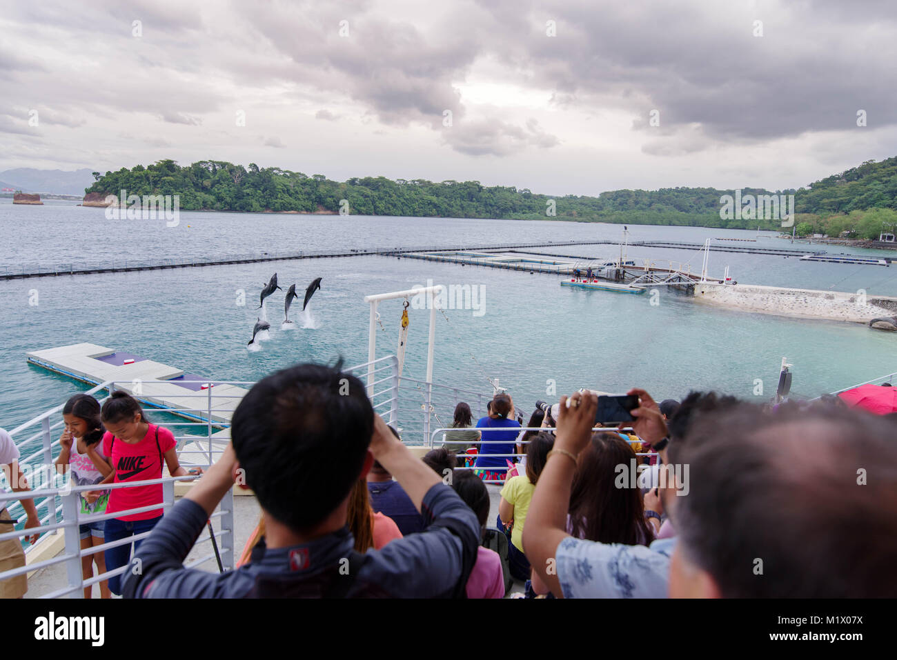 Jan 27,2018 Tourists enjoy dolphin show at Ocean Adventure, Subic ...