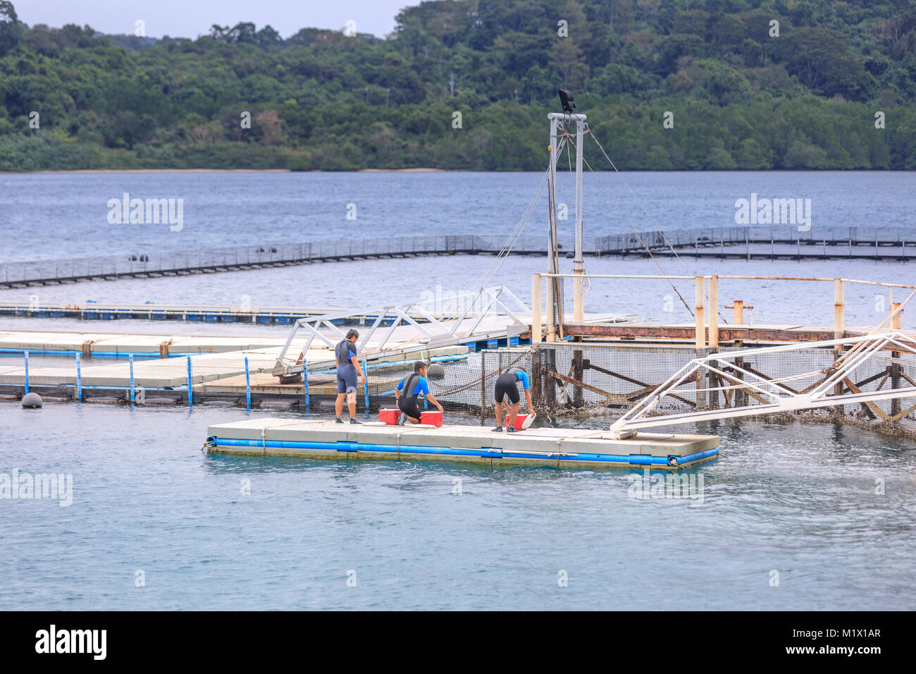 SUBIC BAY, MANILA, PHILIPPINES : JAN 28, 2018 - Instructors wating ...