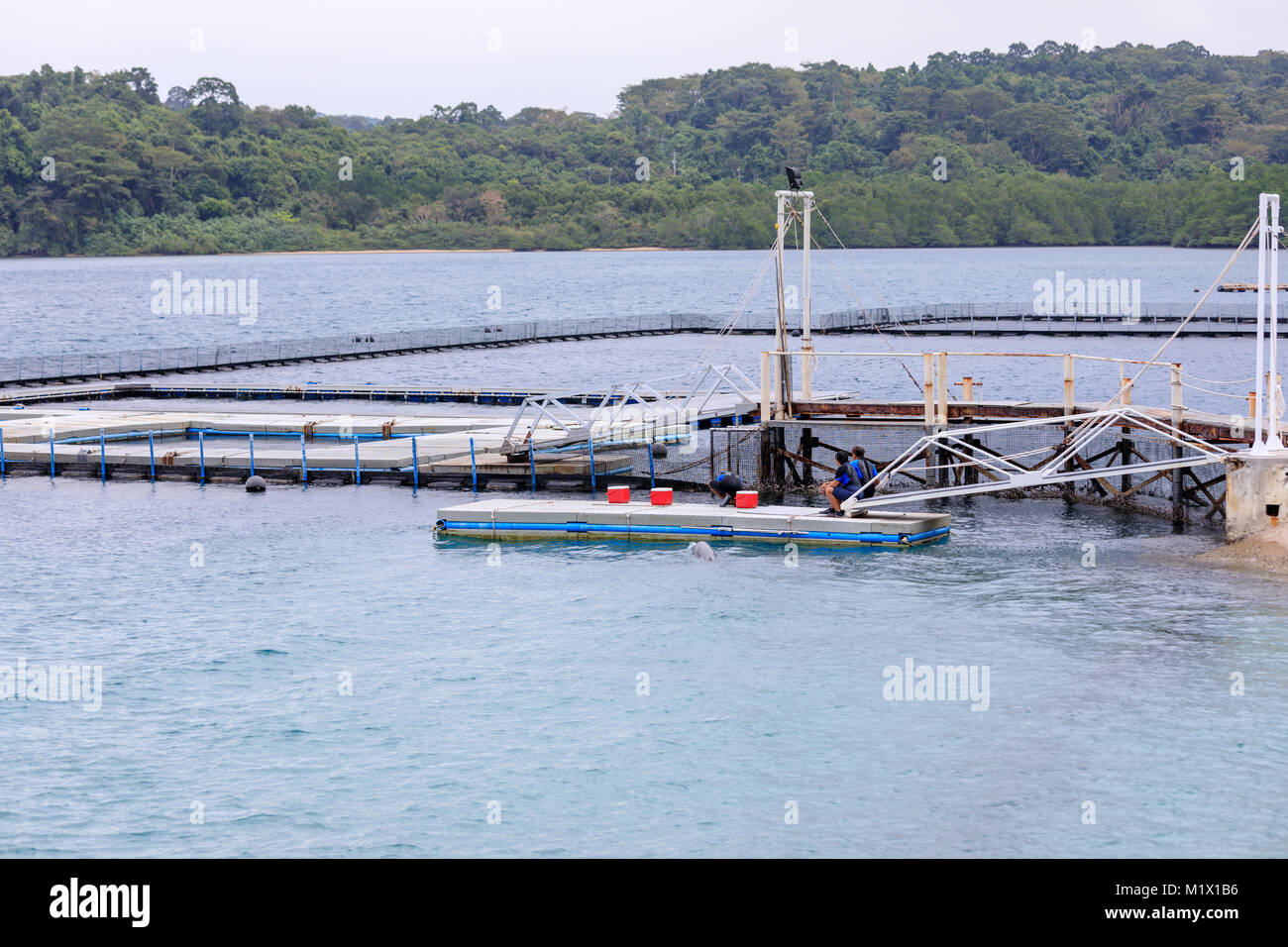 Subic bay freeport zone hi-res stock photography and images - Alamy