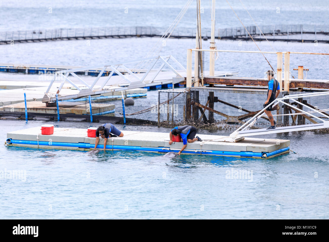 SUBIC BAY, MANILA, PHILIPPINES : JAN 28, 2018 - Instructors wating ...