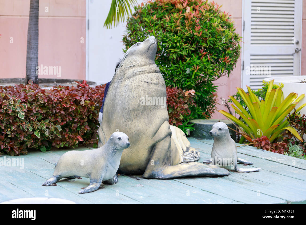 SUBIC BAY, MANILA, PHILIPPINES : JAN 28, 2018 - Statue of Sea Lion in ...