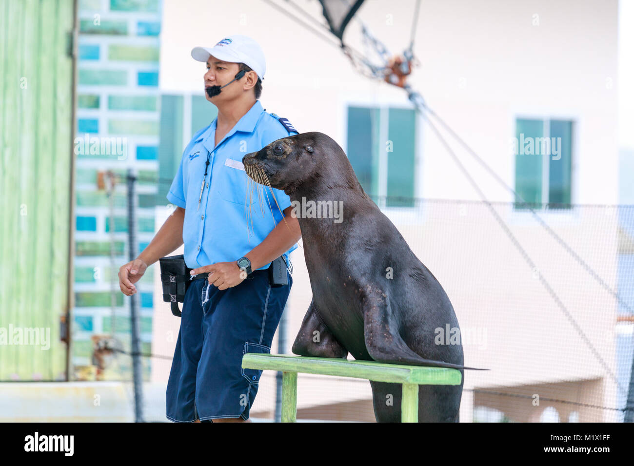 SUBIC BAY, MANILA, PHILIPPINES : JAN 28, 2018 - Instructor perform with ...