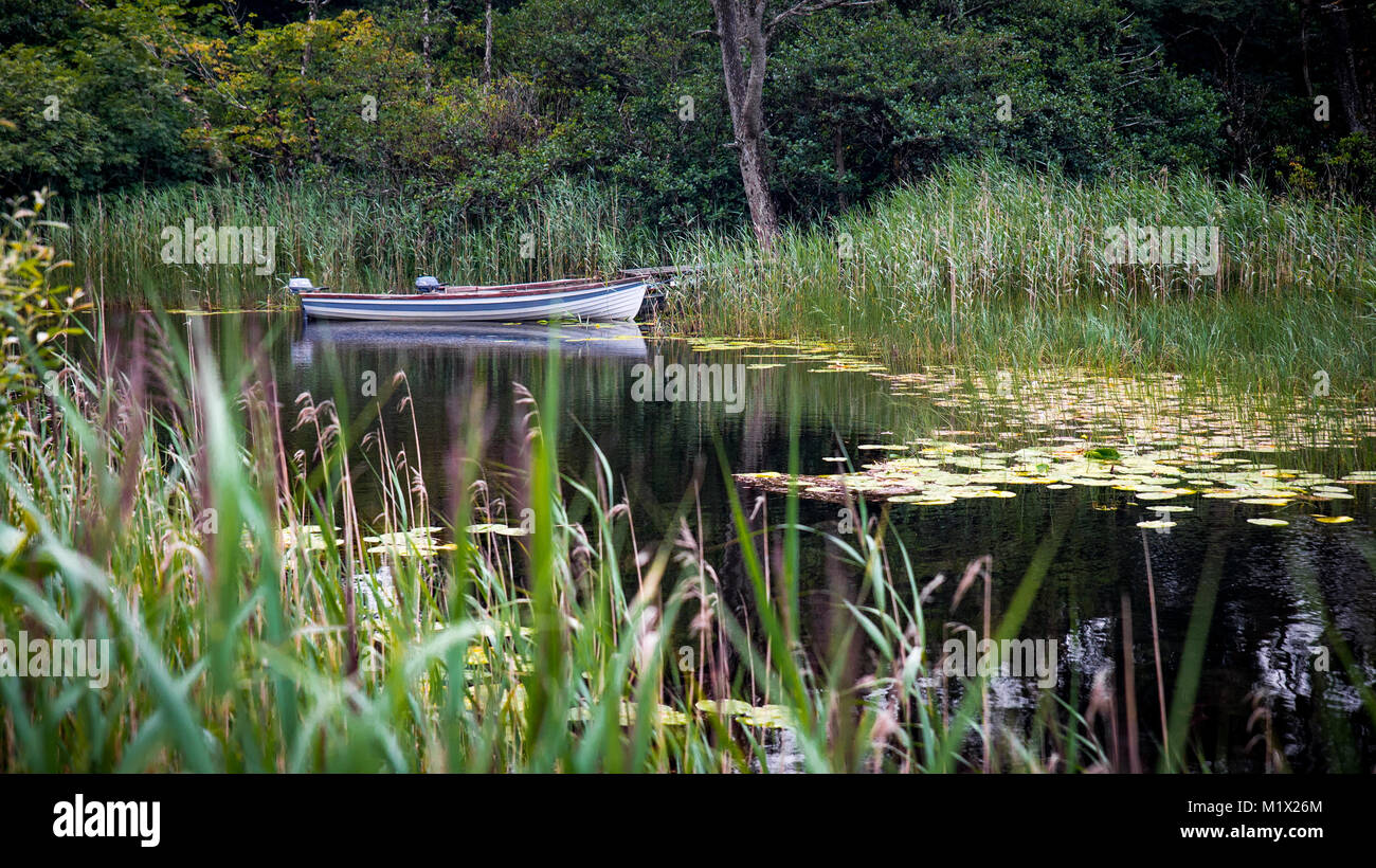 Small boat pond hi-res stock photography and images - Alamy