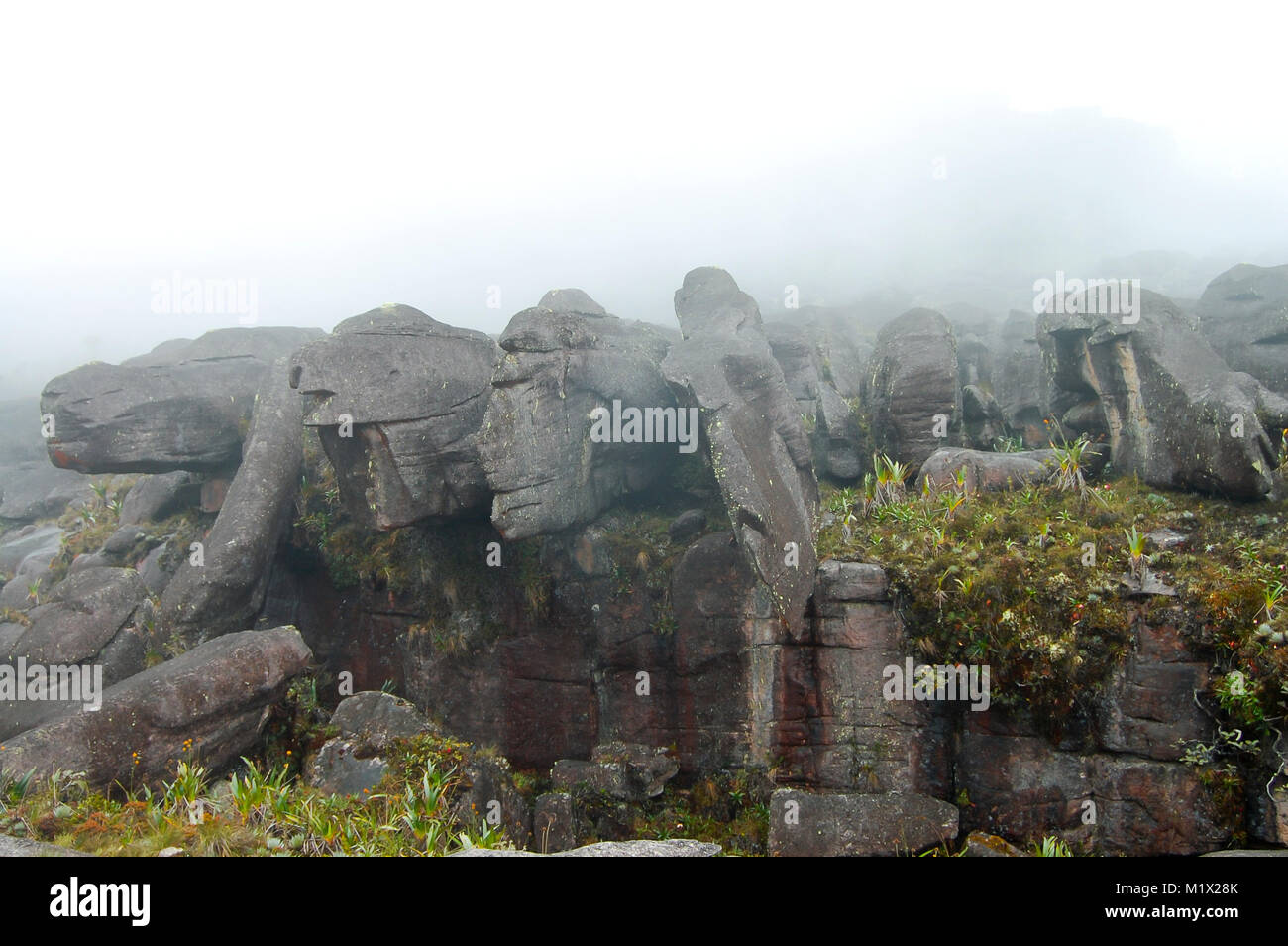 Roraima cliff hi-res stock photography and images - Alamy