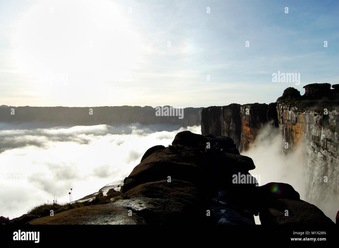 Roraima cliff hi-res stock photography and images - Alamy