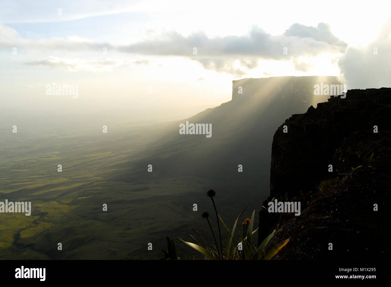 Mount Roraima - Venezuela Stock Photo - Alamy