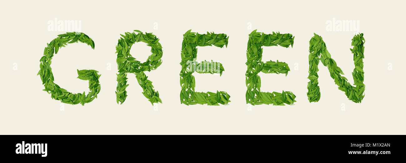 The green dry tea leaf, word GREEN on white background, top view Stock ...