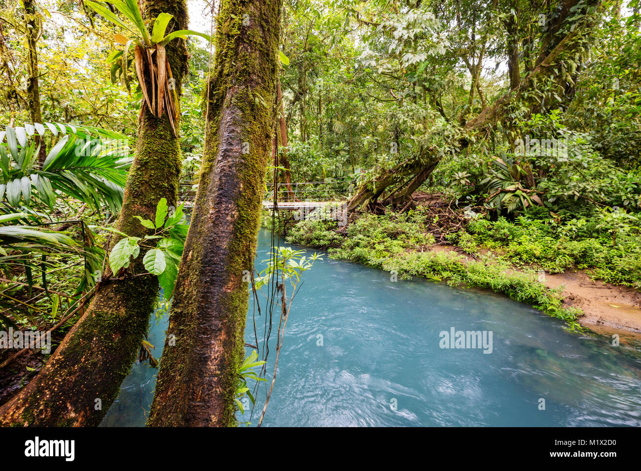 Beautiful stream water flowing down in rain forest. Costa Rica, Central ...