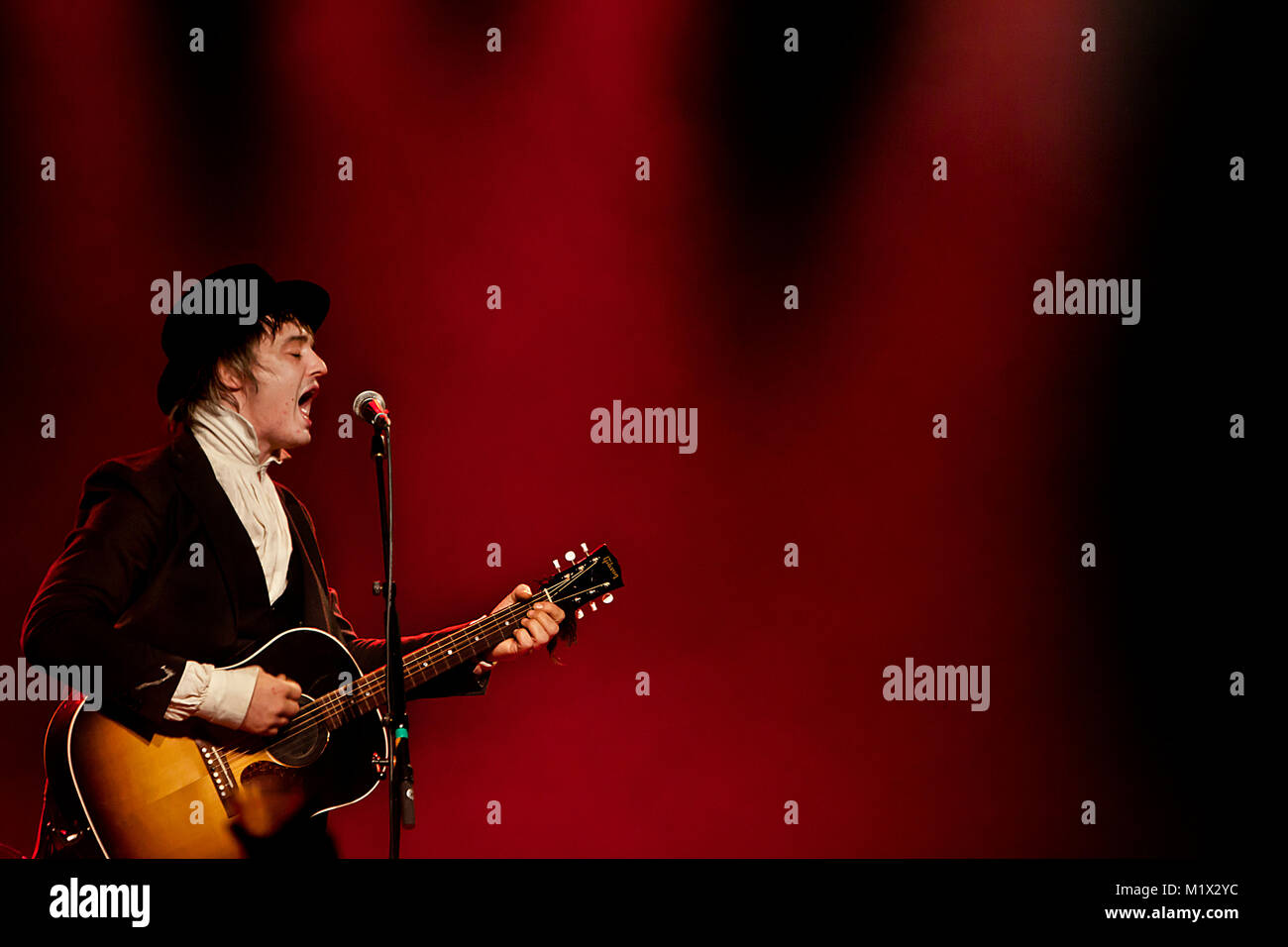 The English singer, songwriter and musician Pete Doherty performs a ...