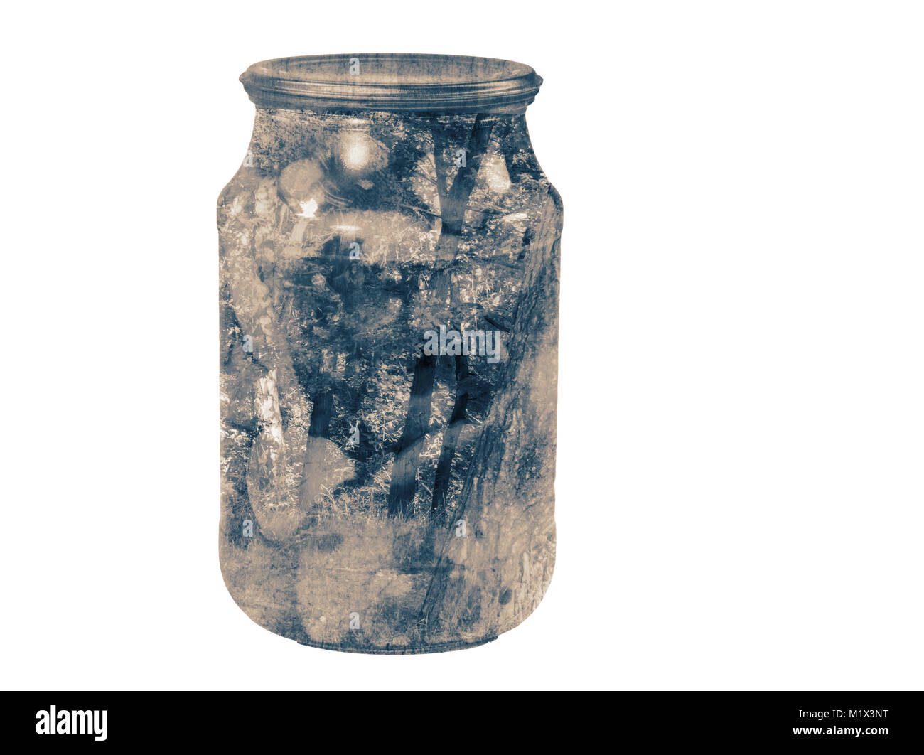The double exposure effect: glass jar with mushrooms and the landscape ...