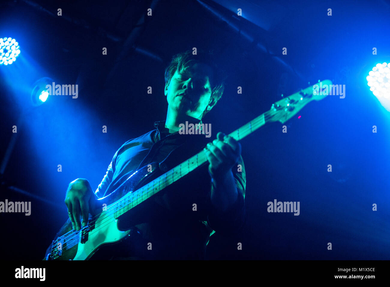 Skarsgaard hi-res stock photography and images - Alamy