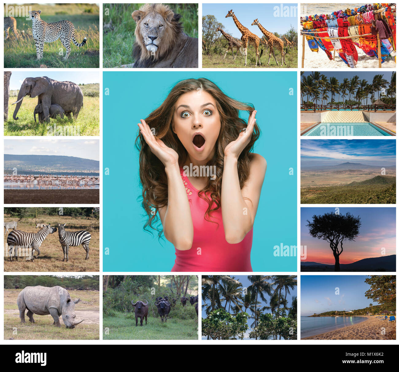 African wild animals safari collage hi-res stock photography and images ...