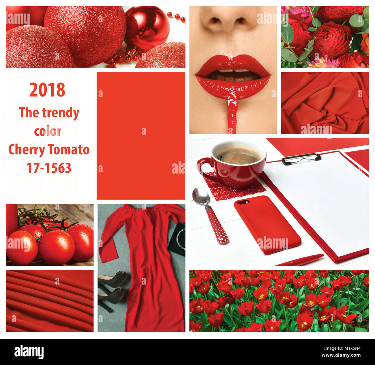 Stylish color palette hi-res stock photography and images - Alamy