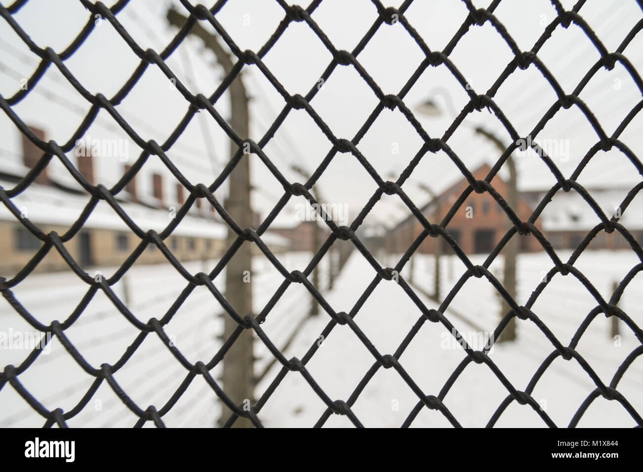 Barbed wire fences, towers and barriers inside Auschwitz I German Nazi ...