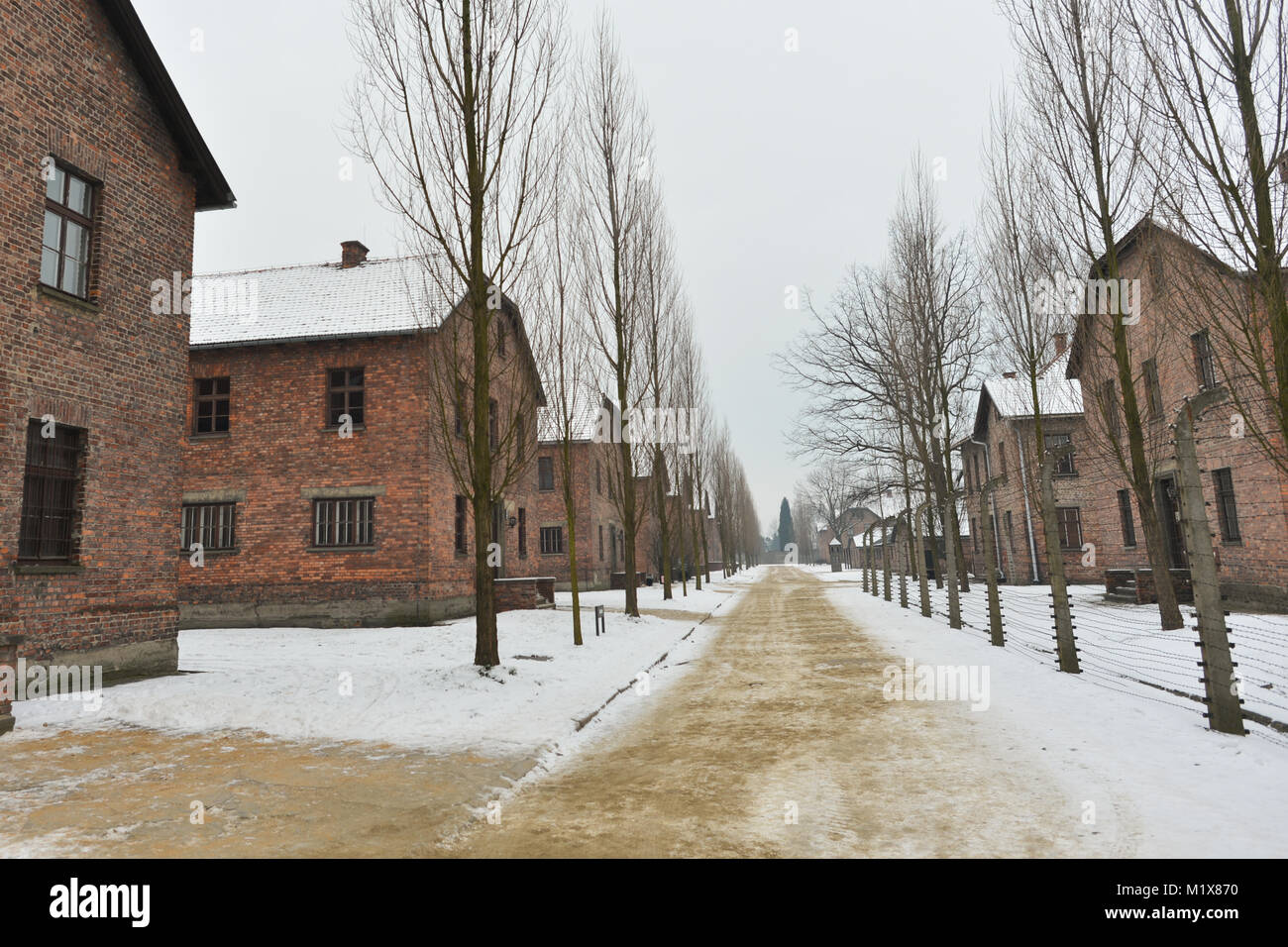 Main road in in Auschwitz I German Nazi concentration and extermination ...