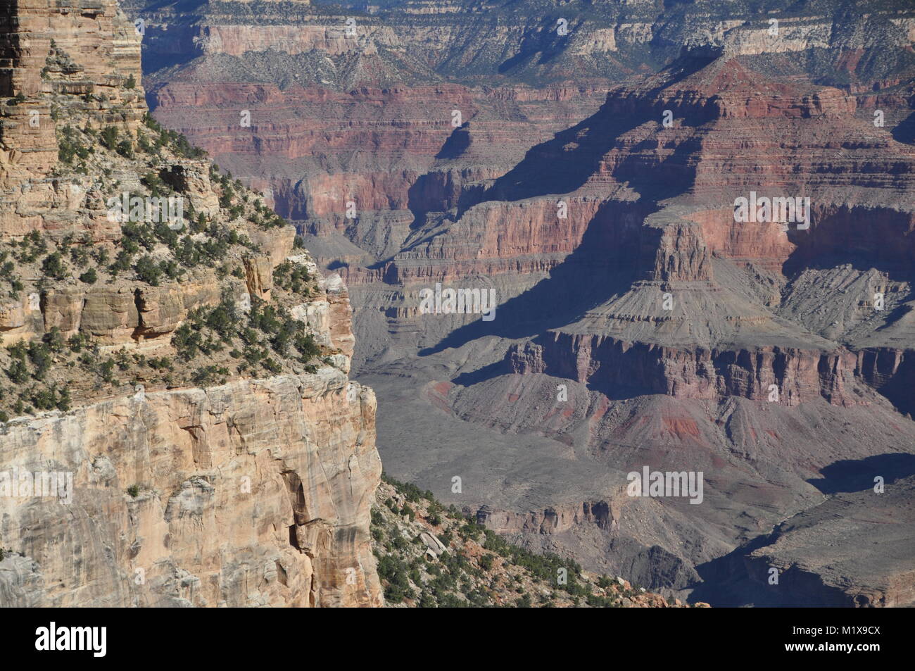 Coconino plateau hi-res stock photography and images - Alamy