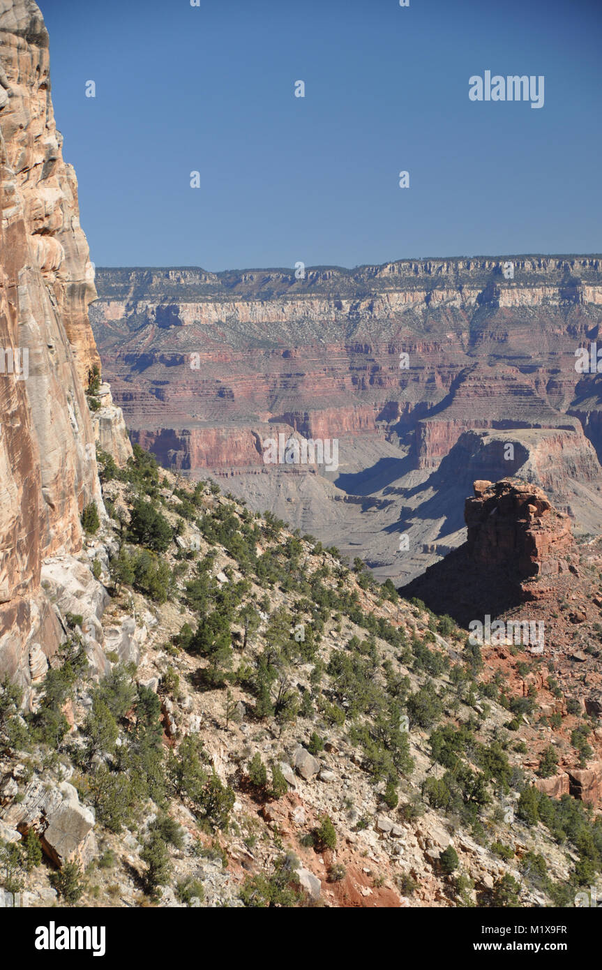 Original Horizontality