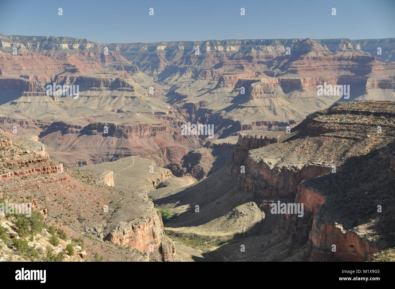 Original Horizontality