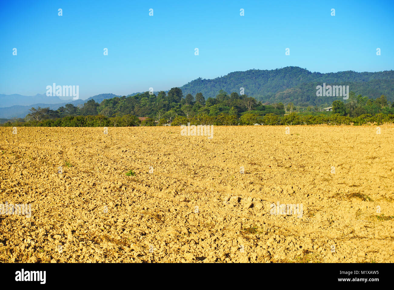 Prepared land with mountain and blue sky background Stock Photo - Alamy