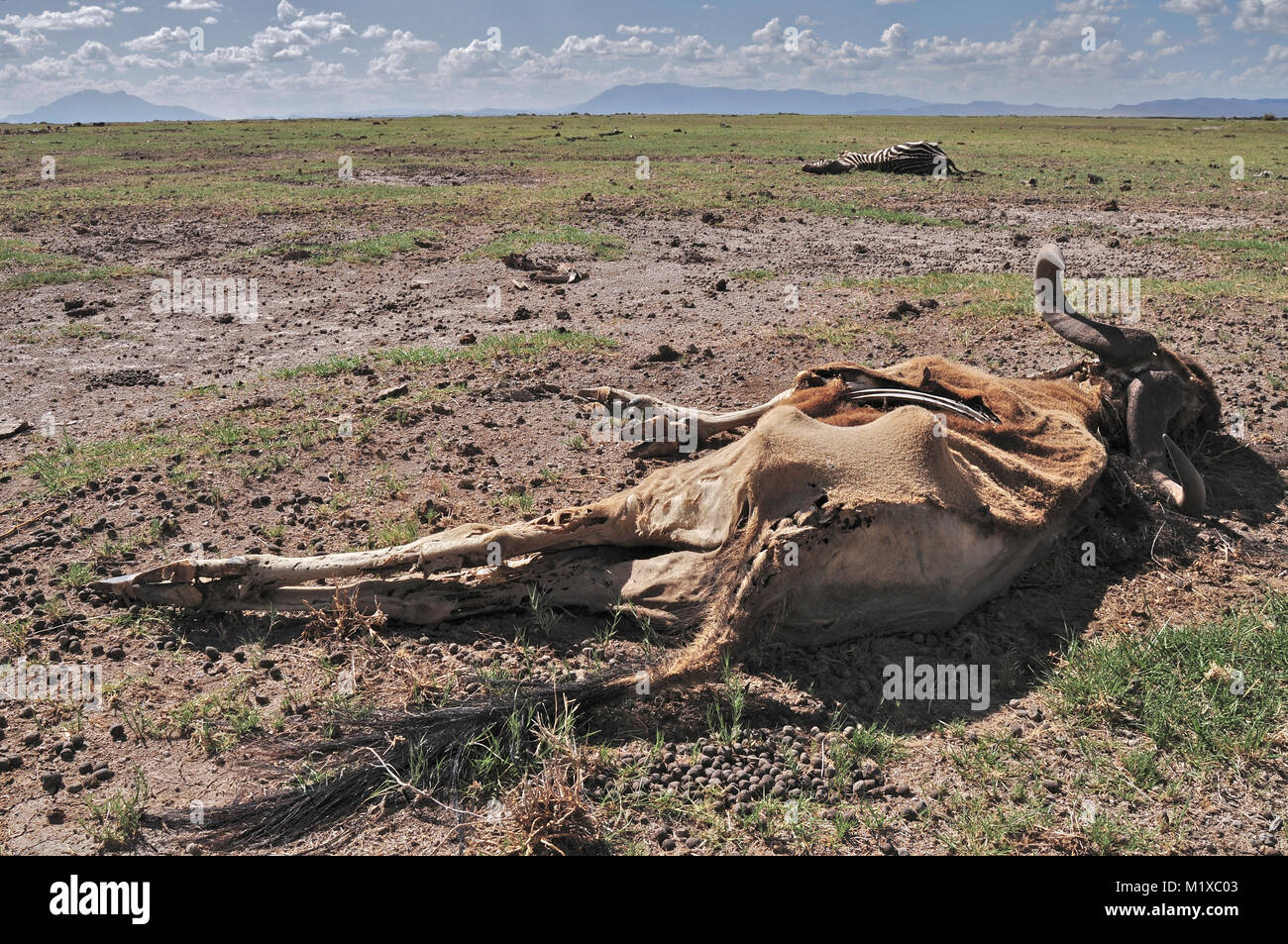 Hydration dying hi-res stock photography and images - Alamy