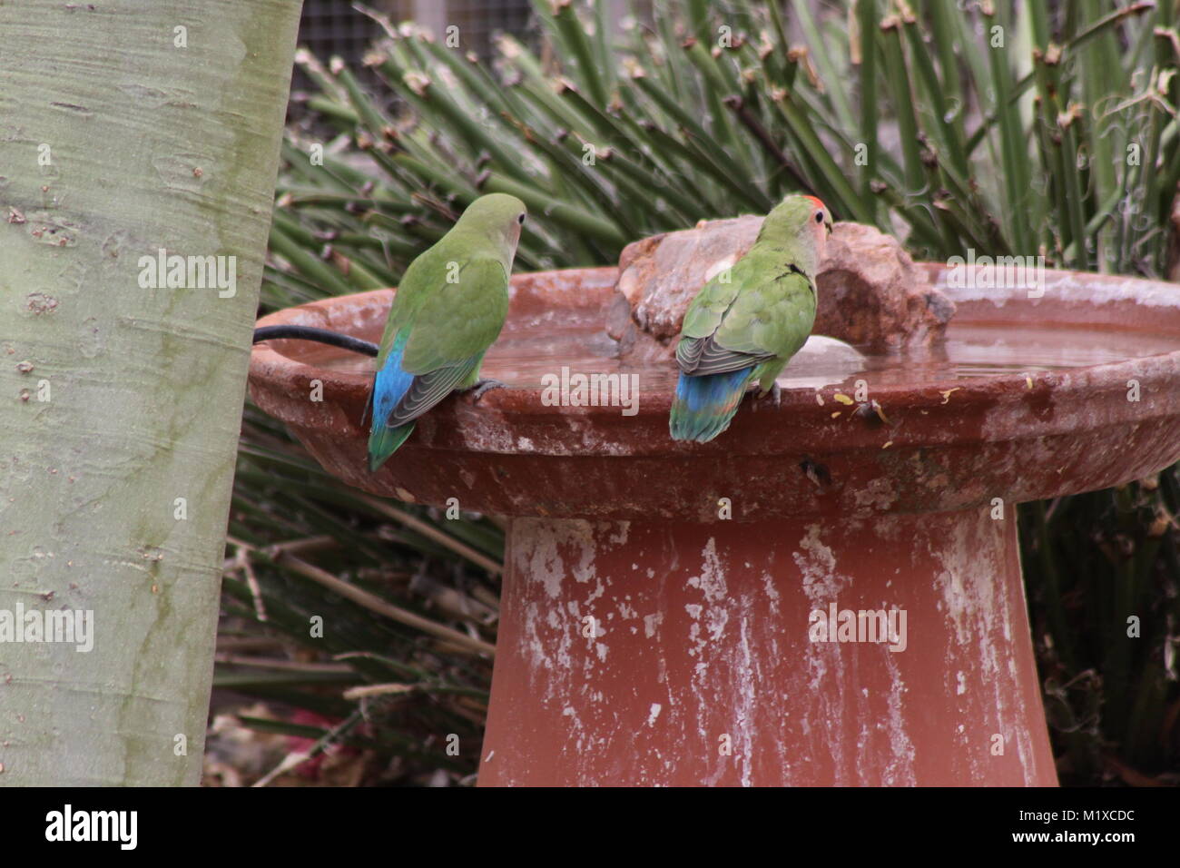 Largess hi-res stock photography and images - Alamy