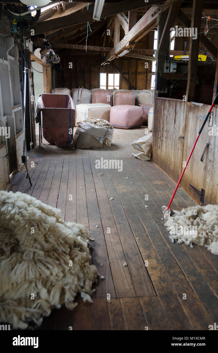 Woolshed interior, Glenburn, Wairarapa, New Zealand Stock Photo - Alamy