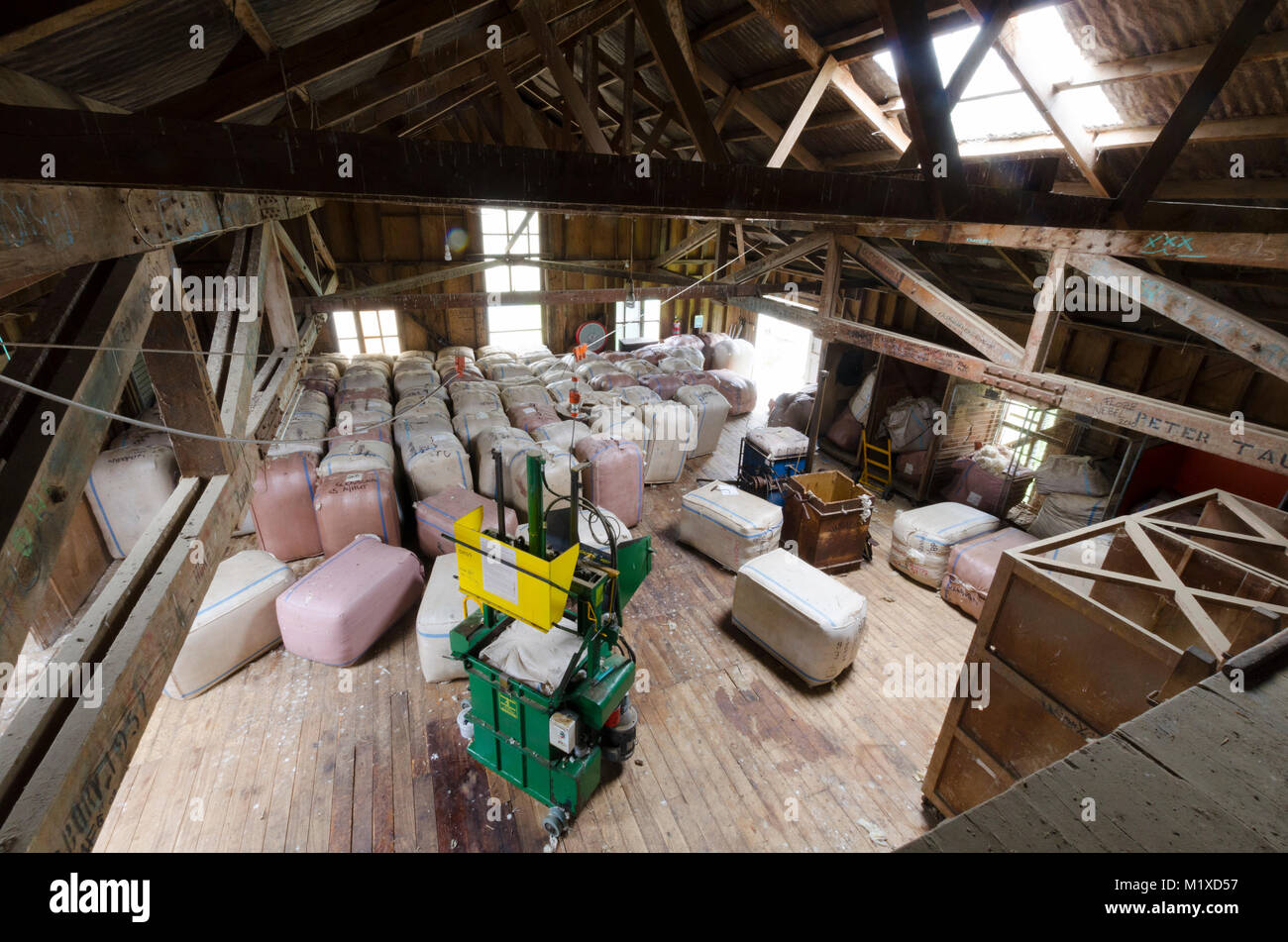 Woolshed interior, Glenburn, Wairarapa, New Zealand Stock Photo - Alamy