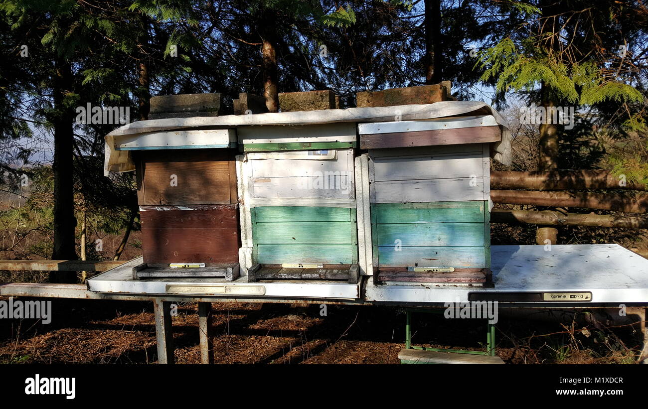 Homemade backyard colorful beehives mounted on top of makeshift table ...