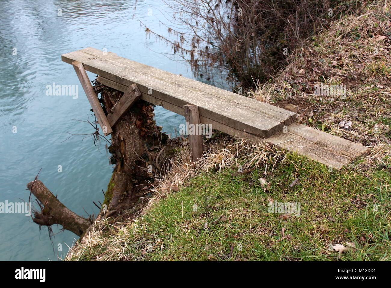 Homemade river diving board made from planks mounted on tree stump on ...