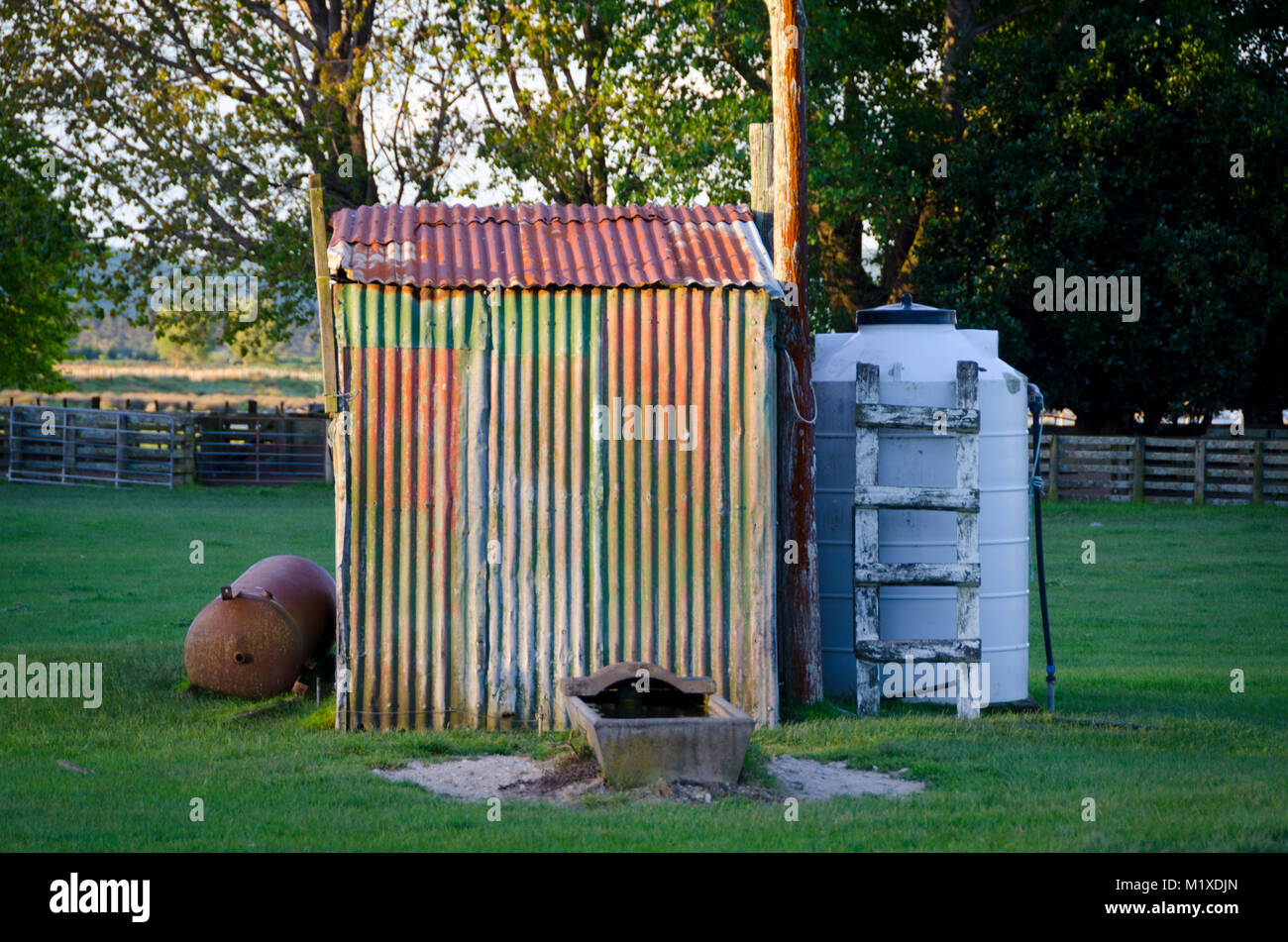 Corrugated iron shed in field, Porangahau, New Zealand Stock Photo - Alamy