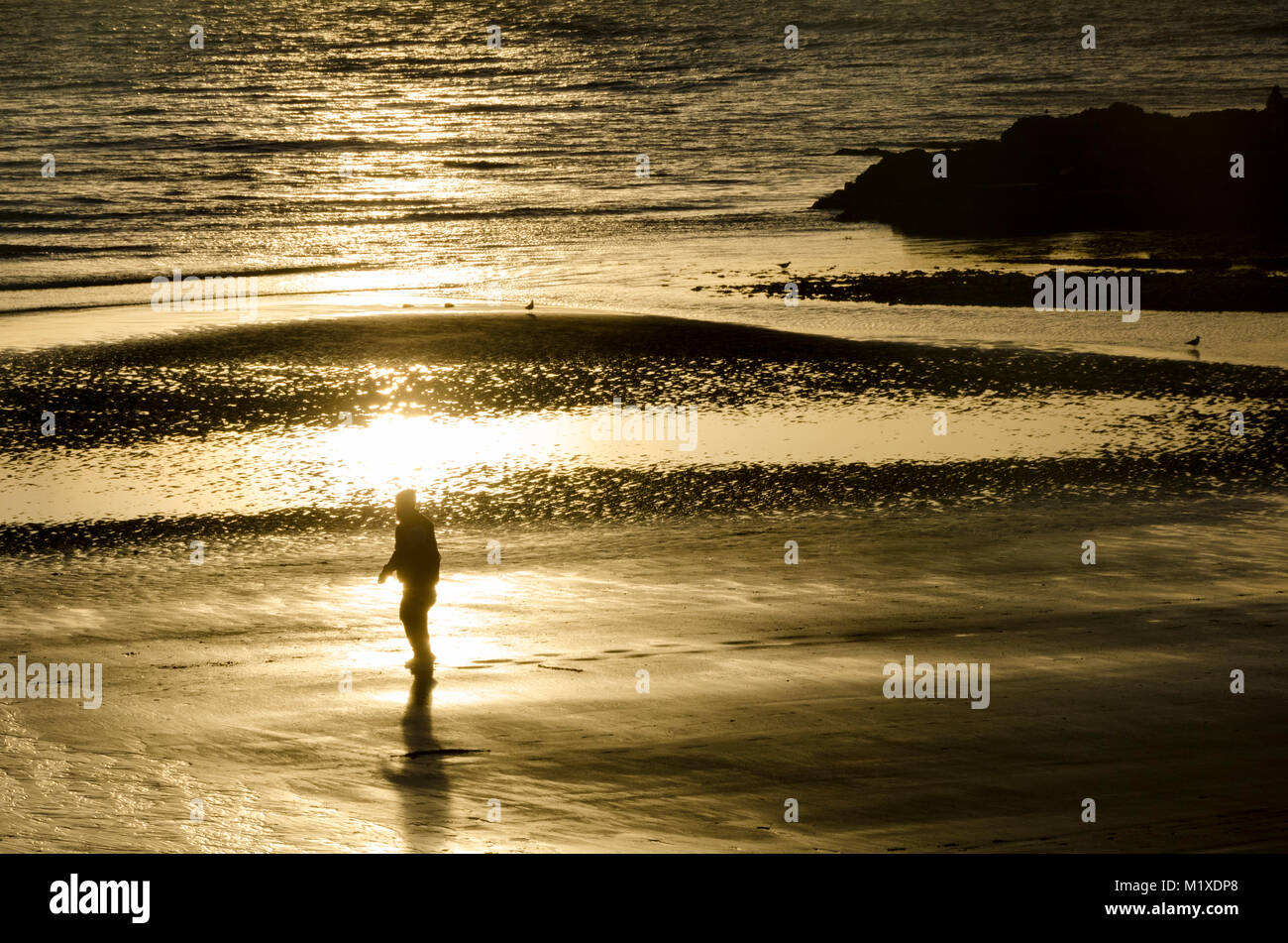 Titahi Bay Beach High Resolution Stock Photography and Images - Alamy