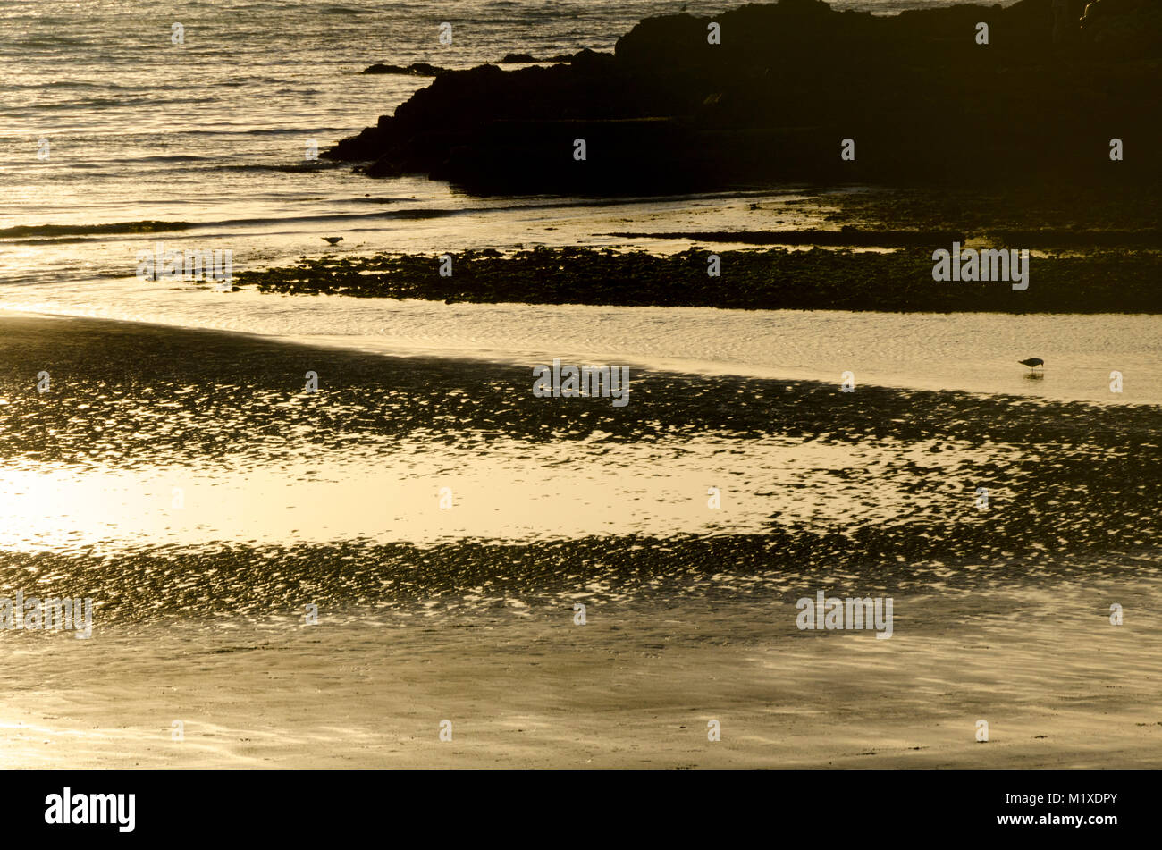 Sunset, Titahi Bay, Porirua, New Zealand Stock Photo - Alamy