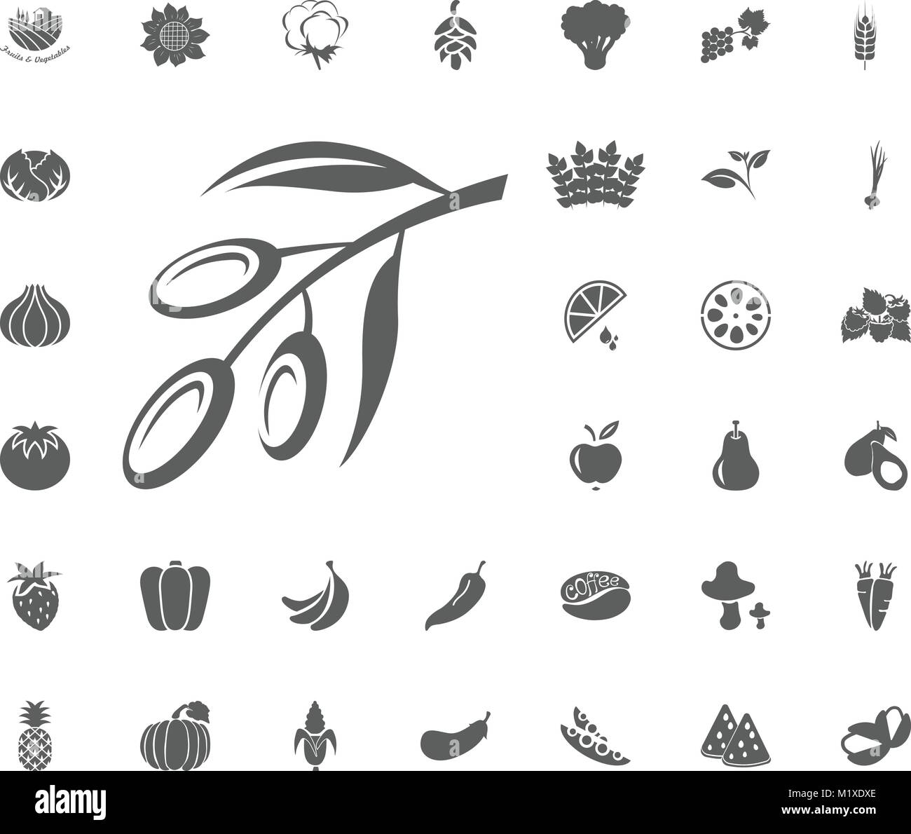 Olives icon. Fruit and Vegetables vector illustration icon set. food ...