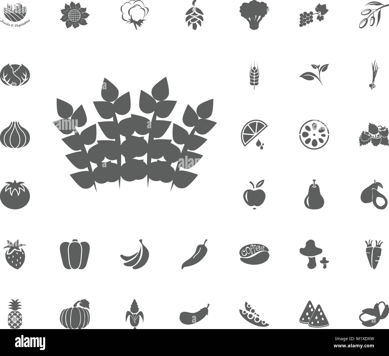 Mint icon. Fruit and Vegetables vector illustration icon set. food and ...