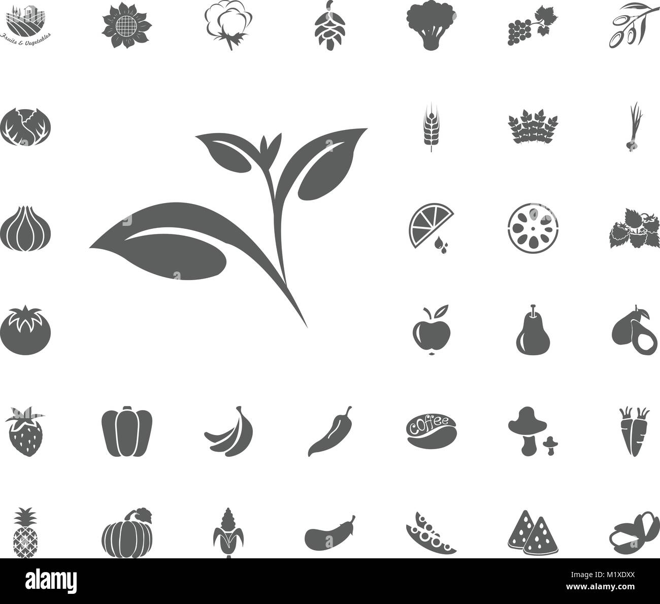 Green tea icon. Fruit and Vegetables vector illustration icon set. food ...