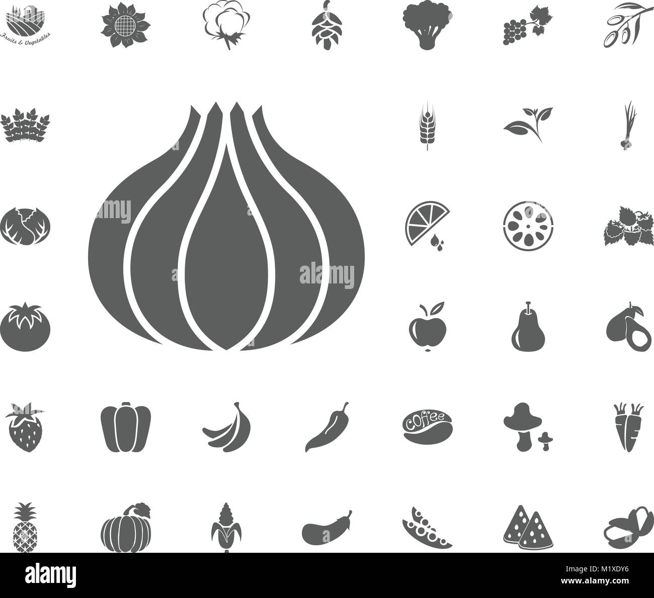 Onion icon. Fruit and Vegetables vector illustration icon set. food and ...
