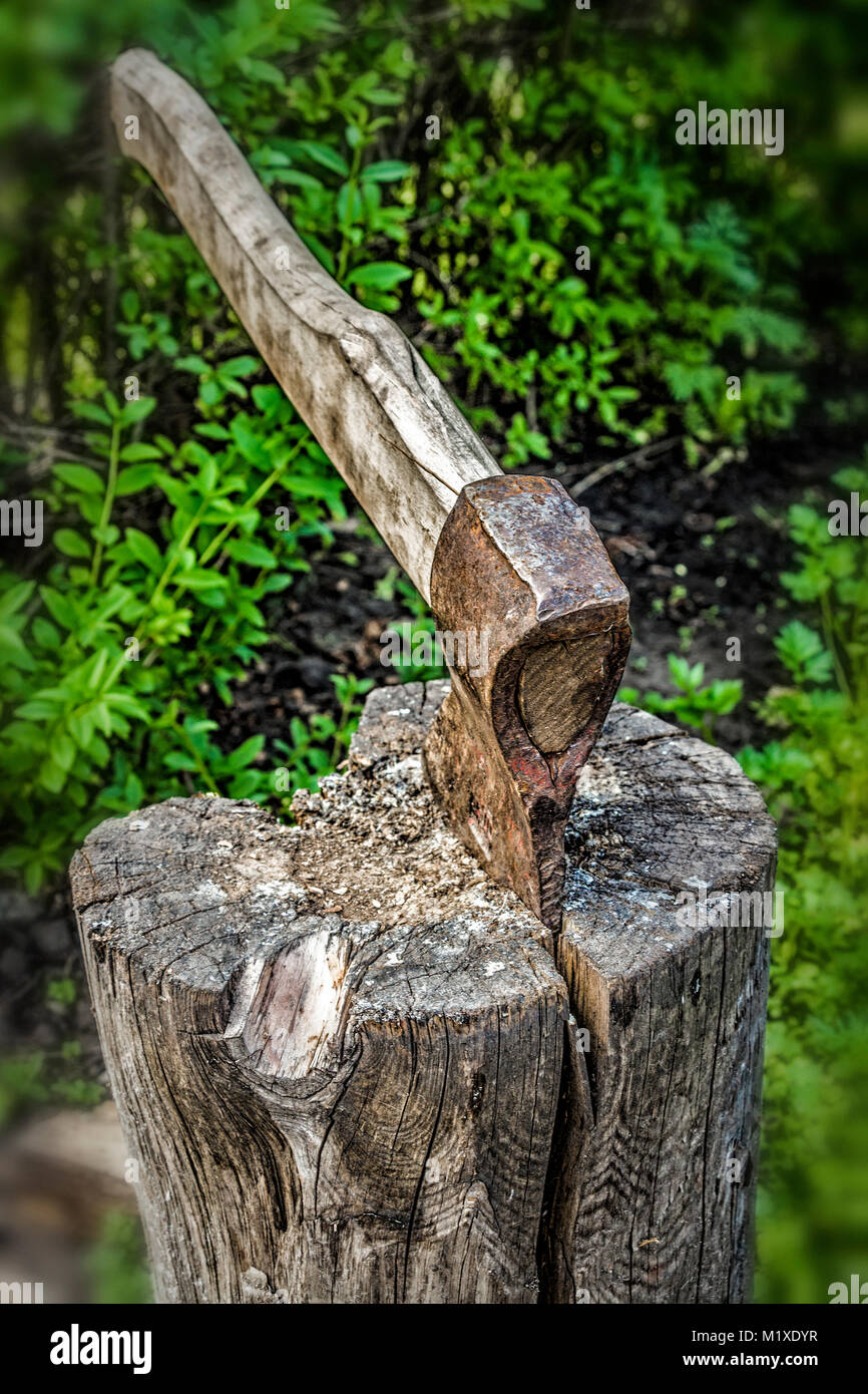 The ax stuck in a tree stump in the backyard close-up Stock Photo - Alamy