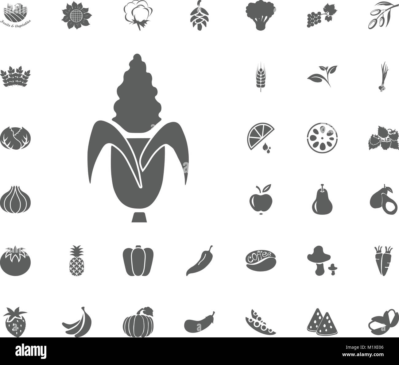 Indian corn vector vectors hi-res stock photography and images - Alamy