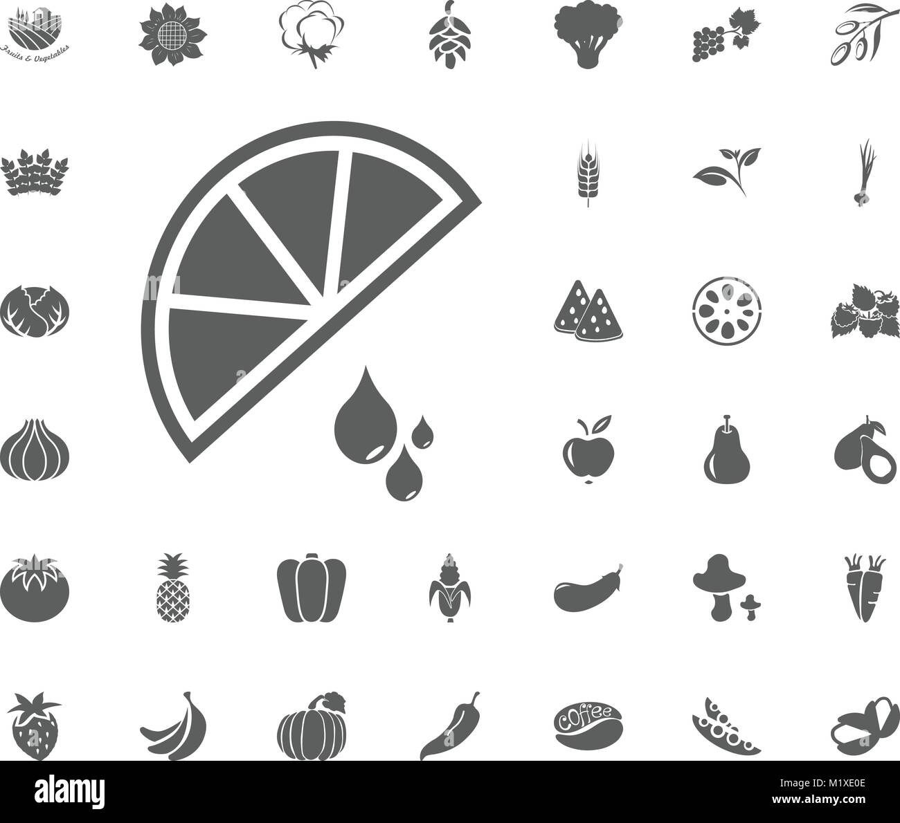 Lemon icon. Fruit and Vegetables vector illustration icon set. food and ...