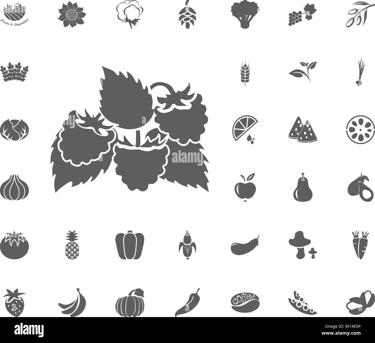 Raspberries icon. Fruit and Vegetables vector illustration icon set ...