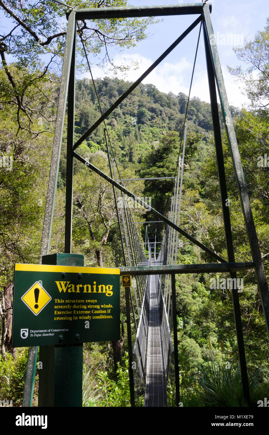 Swing Bridge over Waiohine River, Tararua Forest Park, New Zealand ...