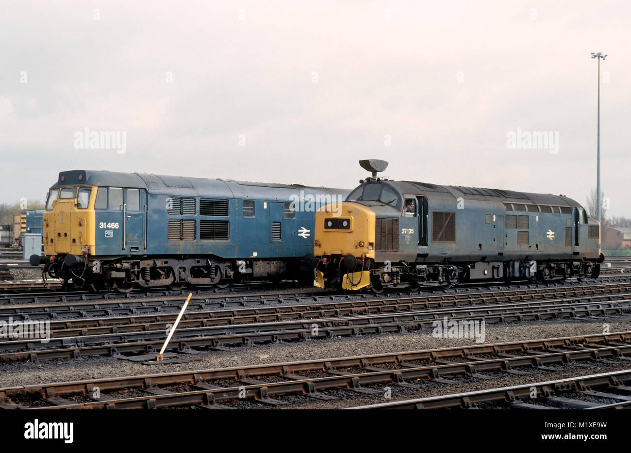 Class 31 diesel locomotives hi-res stock photography and images - Alamy