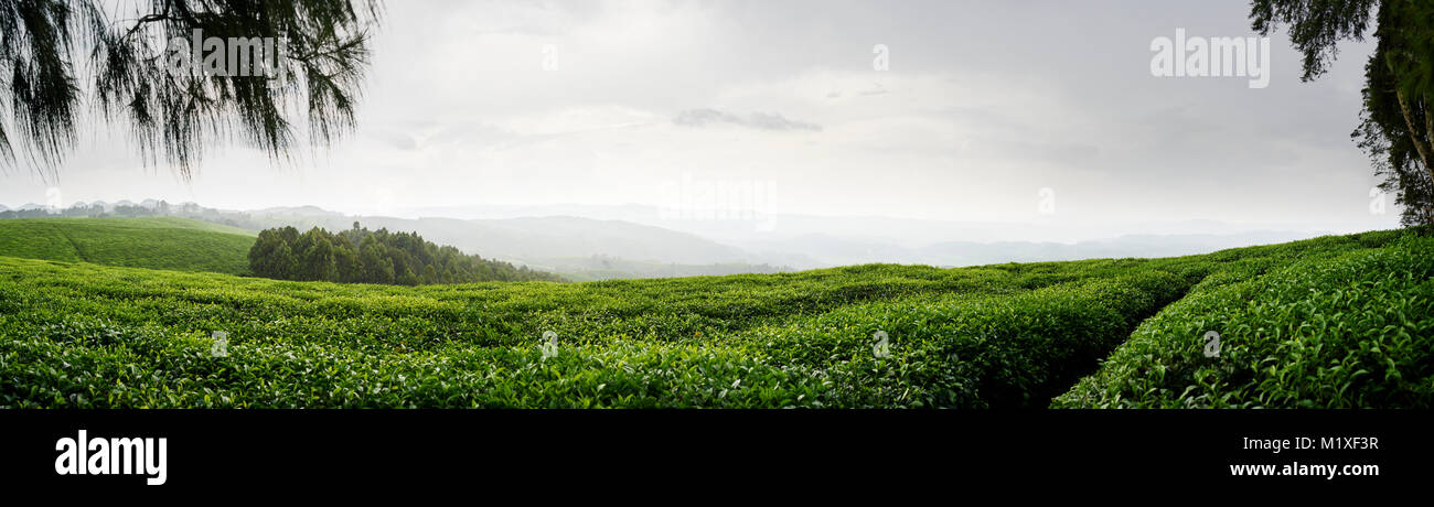 No rwanda hi-res stock photography and images - Alamy