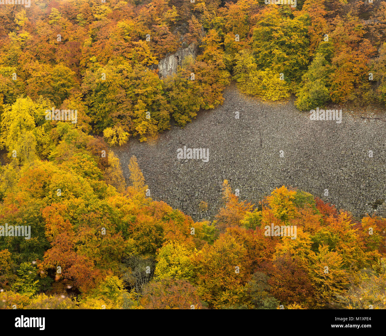 View of the soderasens national park hi-res stock photography and ...