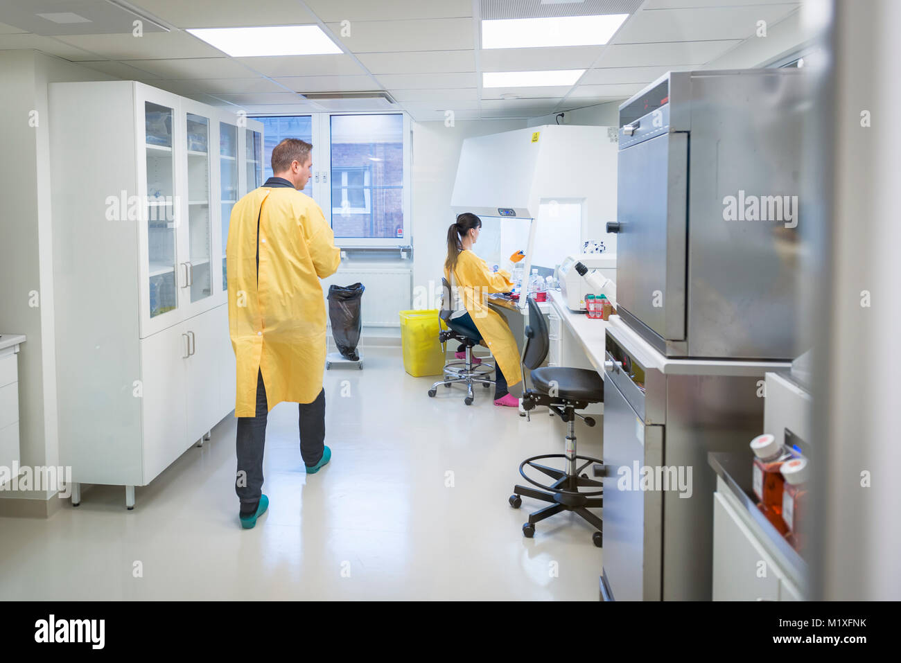 Scientific workers hi-res stock photography and images - Alamy