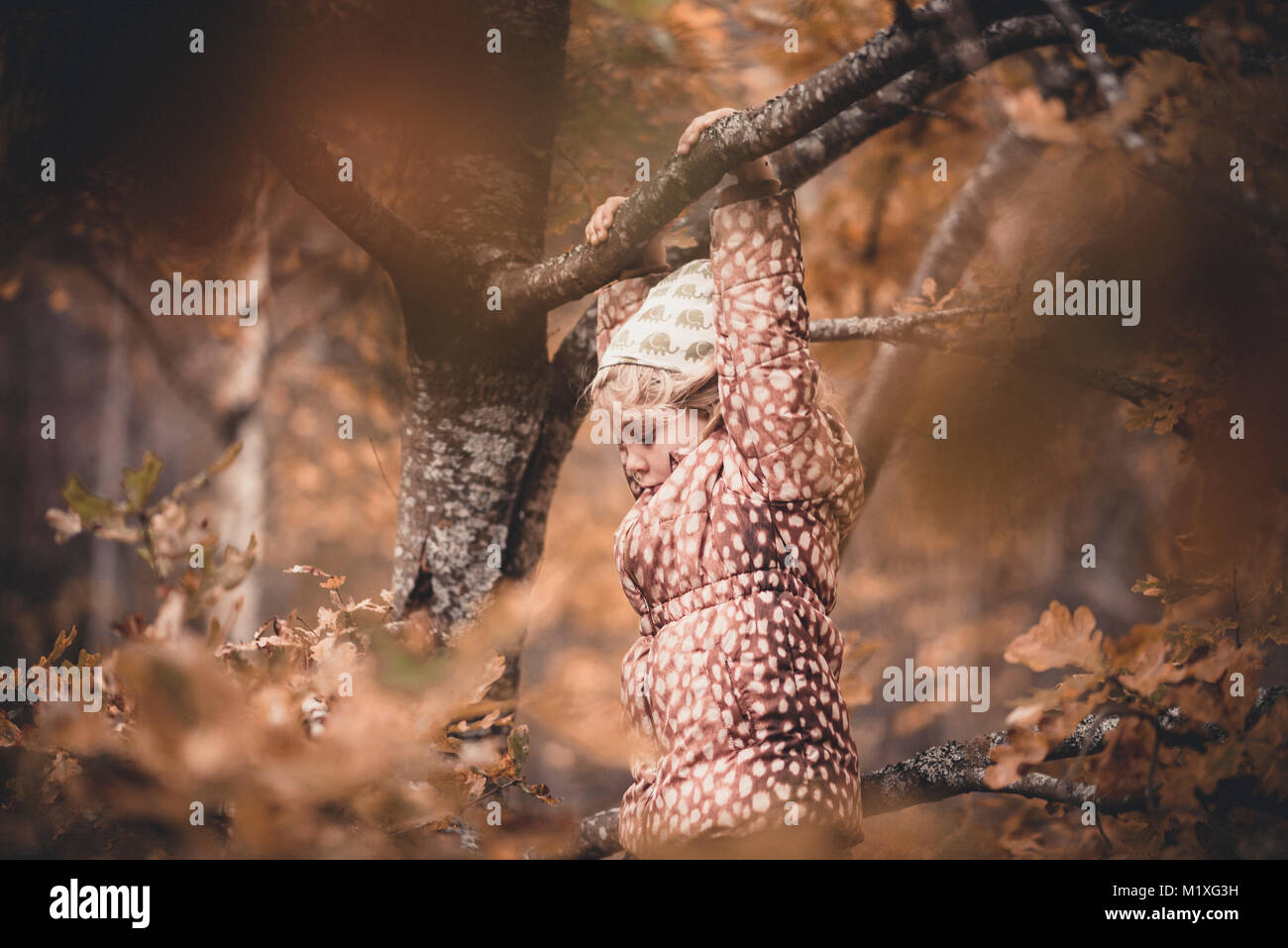 Girls Hanging From Tree High Resolution Stock Photography and Images ...