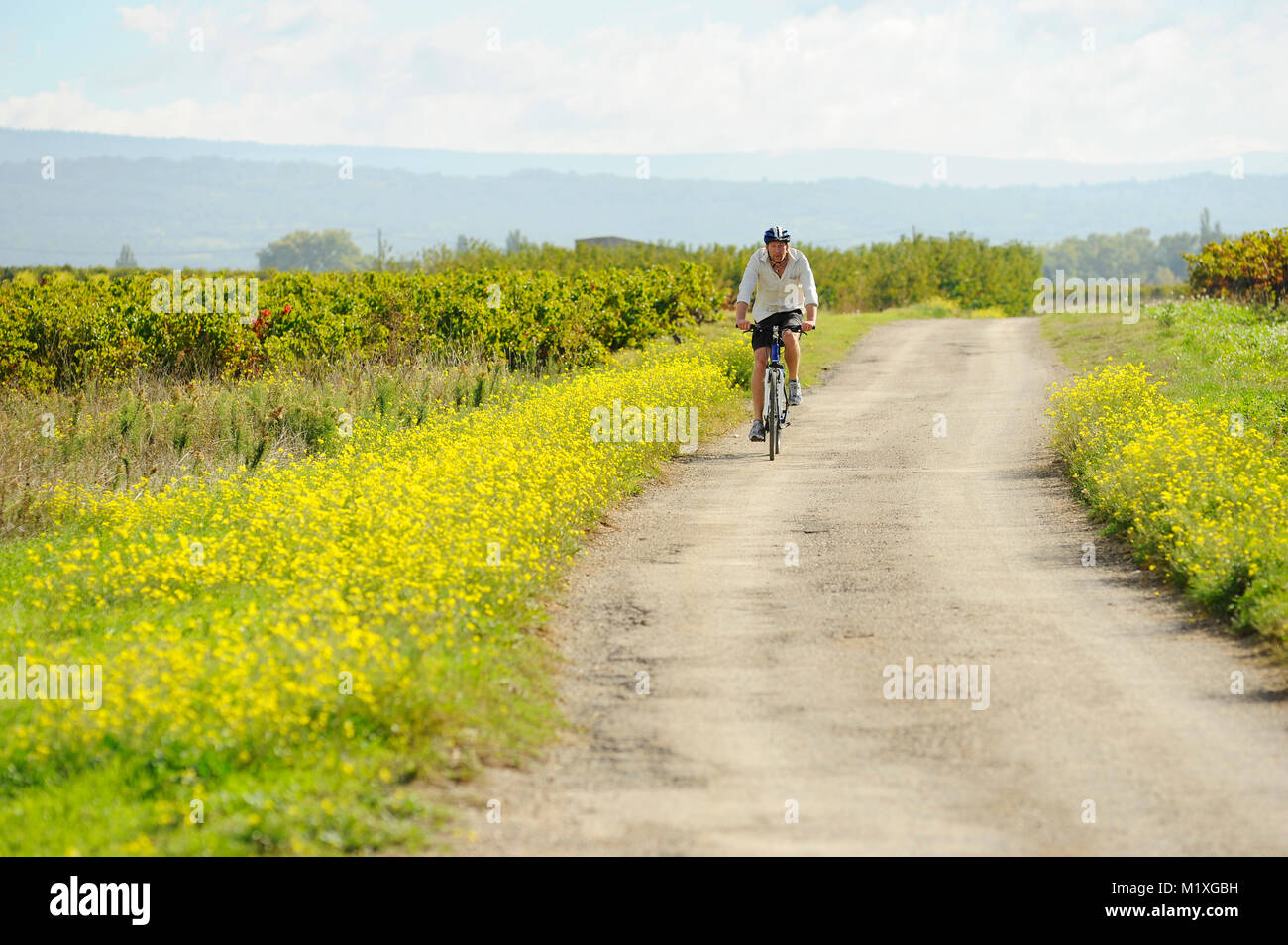 Mid adult man riding bicycle hi-res stock photography and images - Alamy