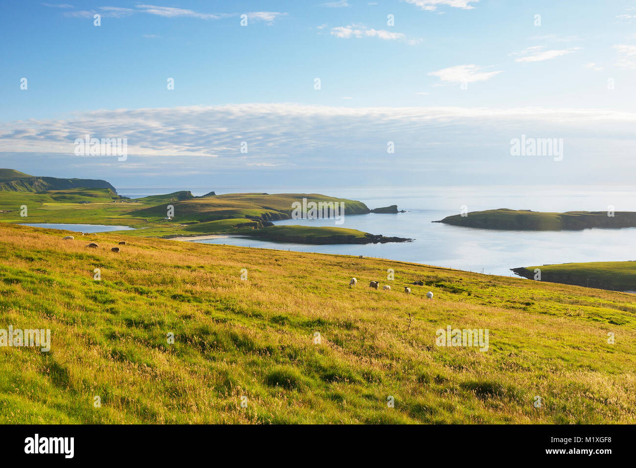 Shetland beach scene scotland hi-res stock photography and images - Alamy