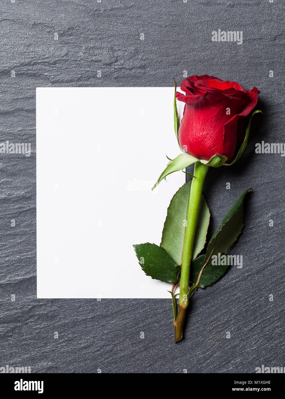 White paper message valentines hi-res stock photography and images - Alamy